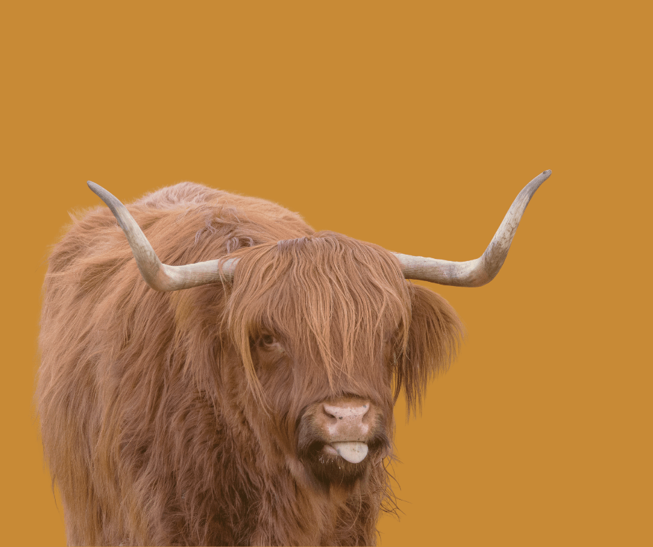 ‘The Hand’ by Colette – Short Story Magic Tricks